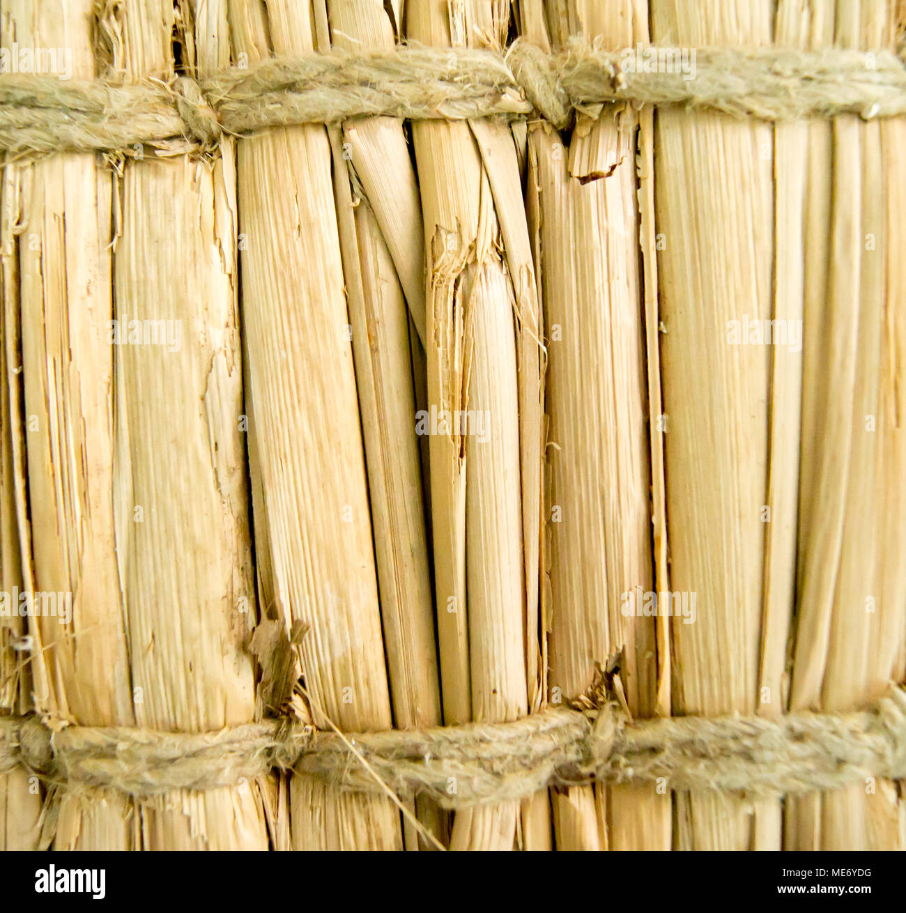 fence of dry cane. For your commercial and editorial use Stock Photo ...
