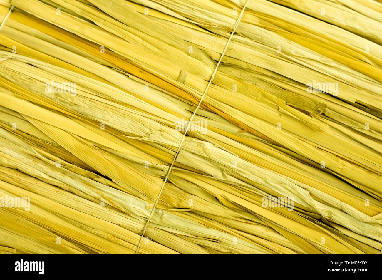 fence of dry cane. For your commercial and editorial use Stock Photo ...