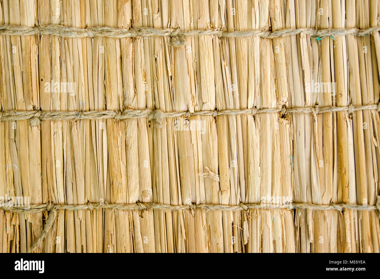 fence of dry cane. For your commercial and editorial use Stock Photo ...