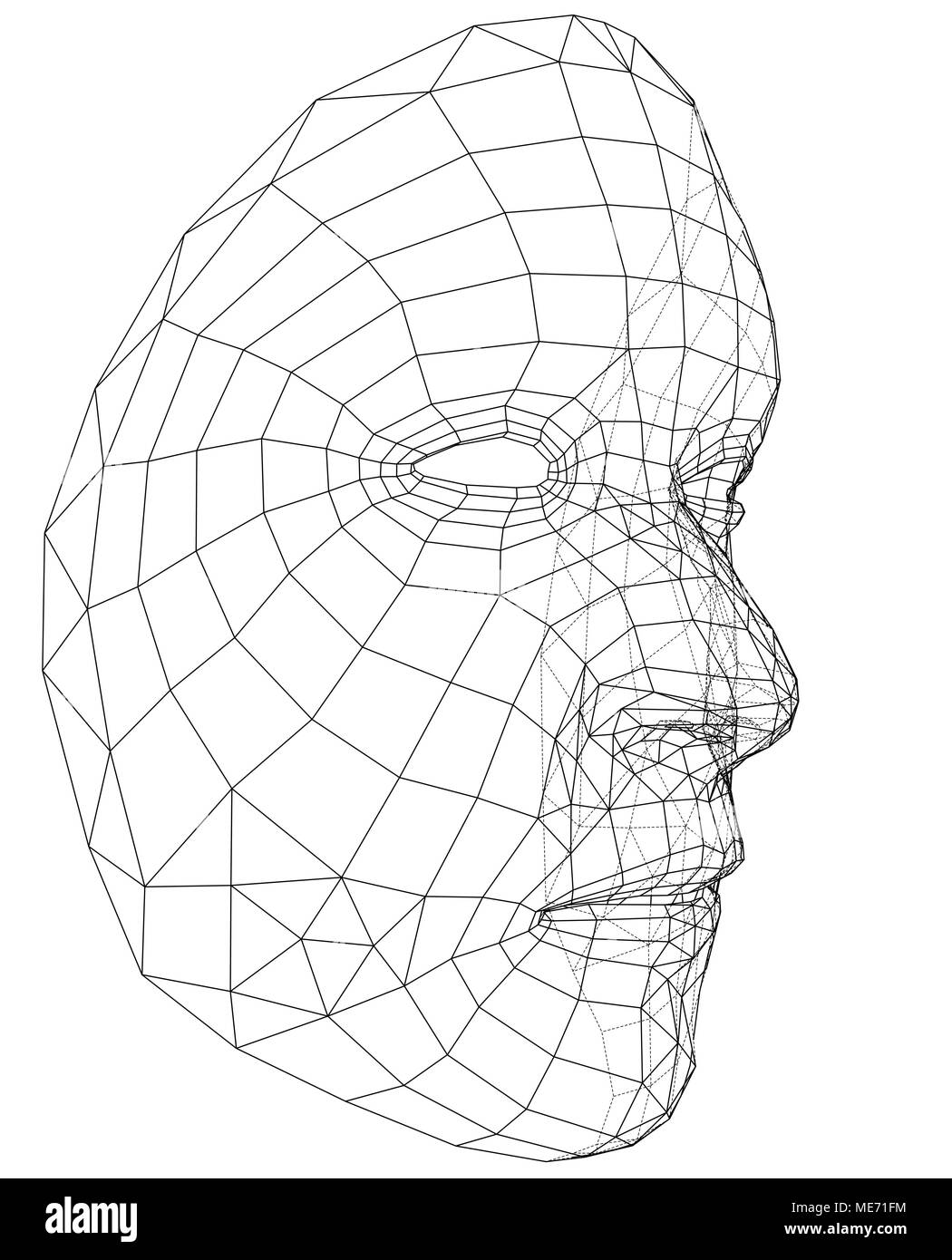 Human head and wire frame hi-res stock photography and images - Alamy