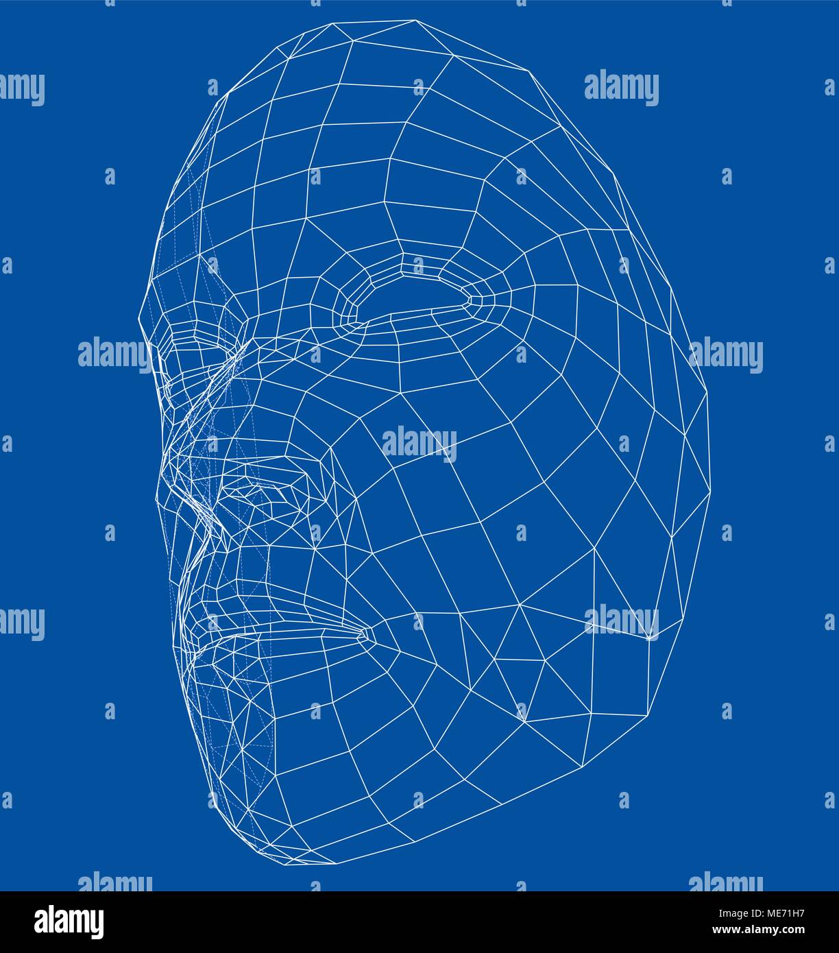 Human head and wire frame hi-res stock photography and images - Alamy