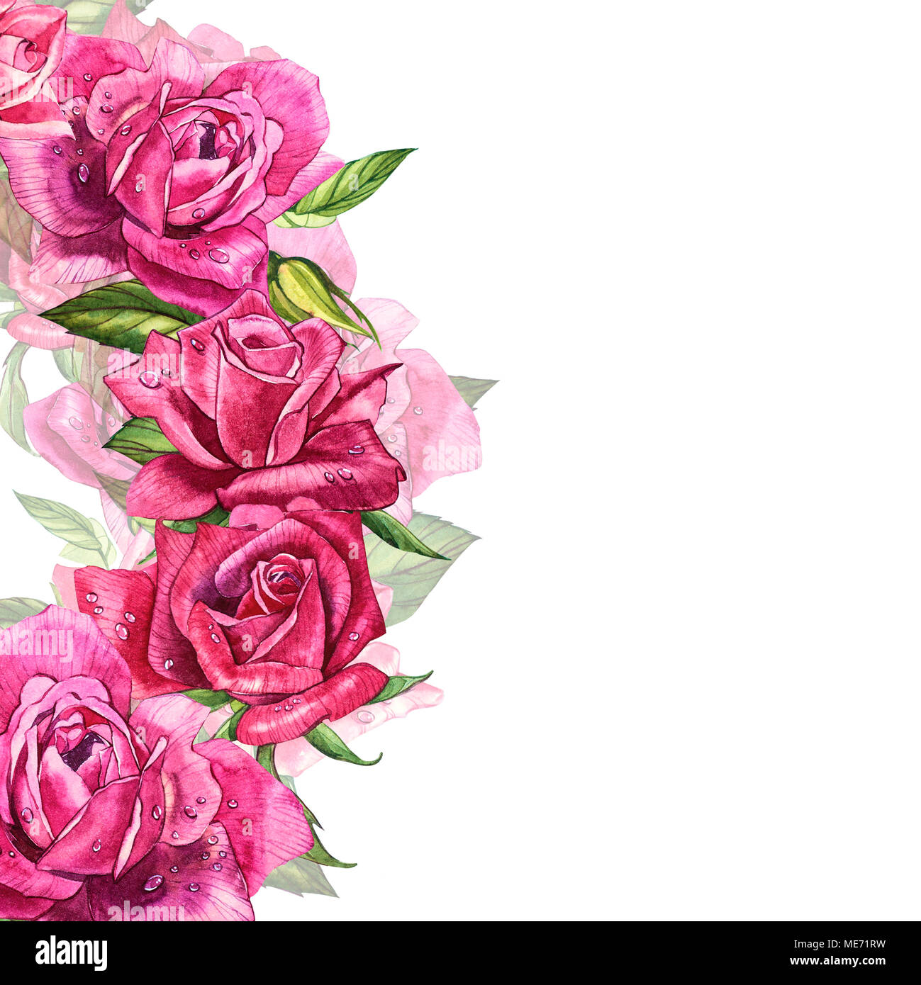 Vintage Rose Border Design