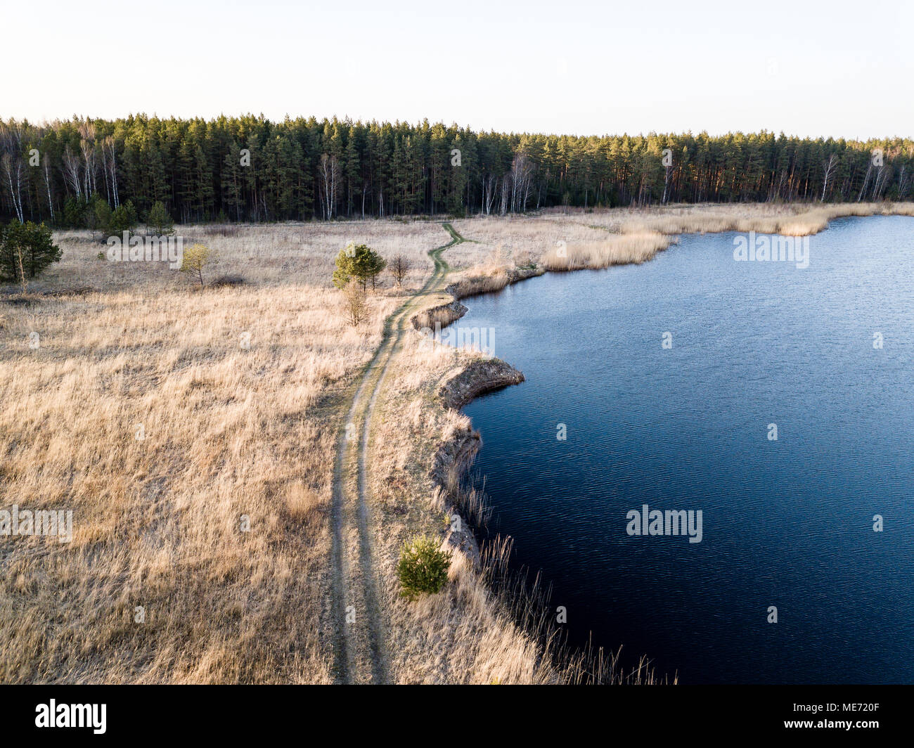 drone image. aerial view of rural area with swamps, lakes and forests ...
