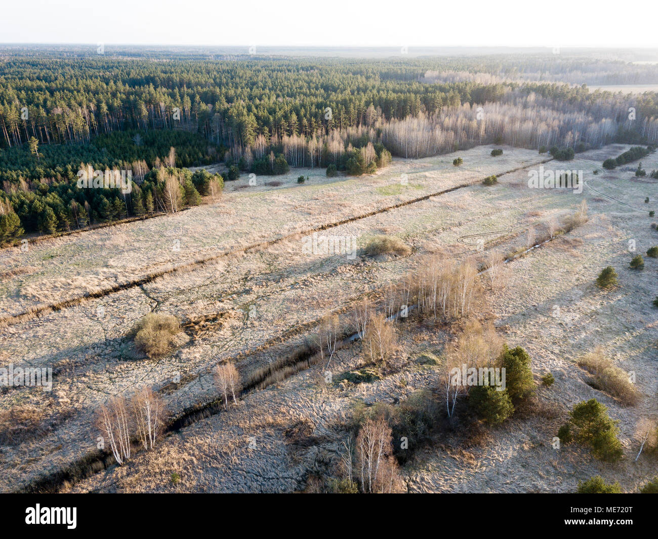 drone image. aerial view of rural area with swamps, lakes and forests ...
