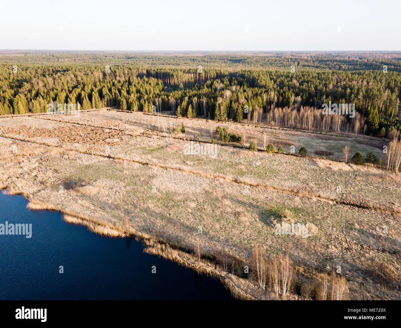 drone image. aerial view of rural area with swamps, lakes and forests ...