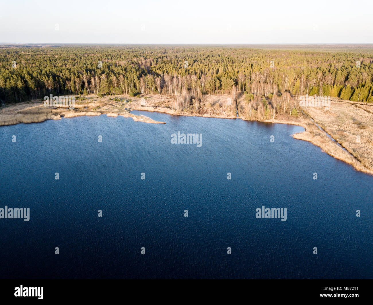 drone image. aerial view of rural area with swamps, lakes and forests ...