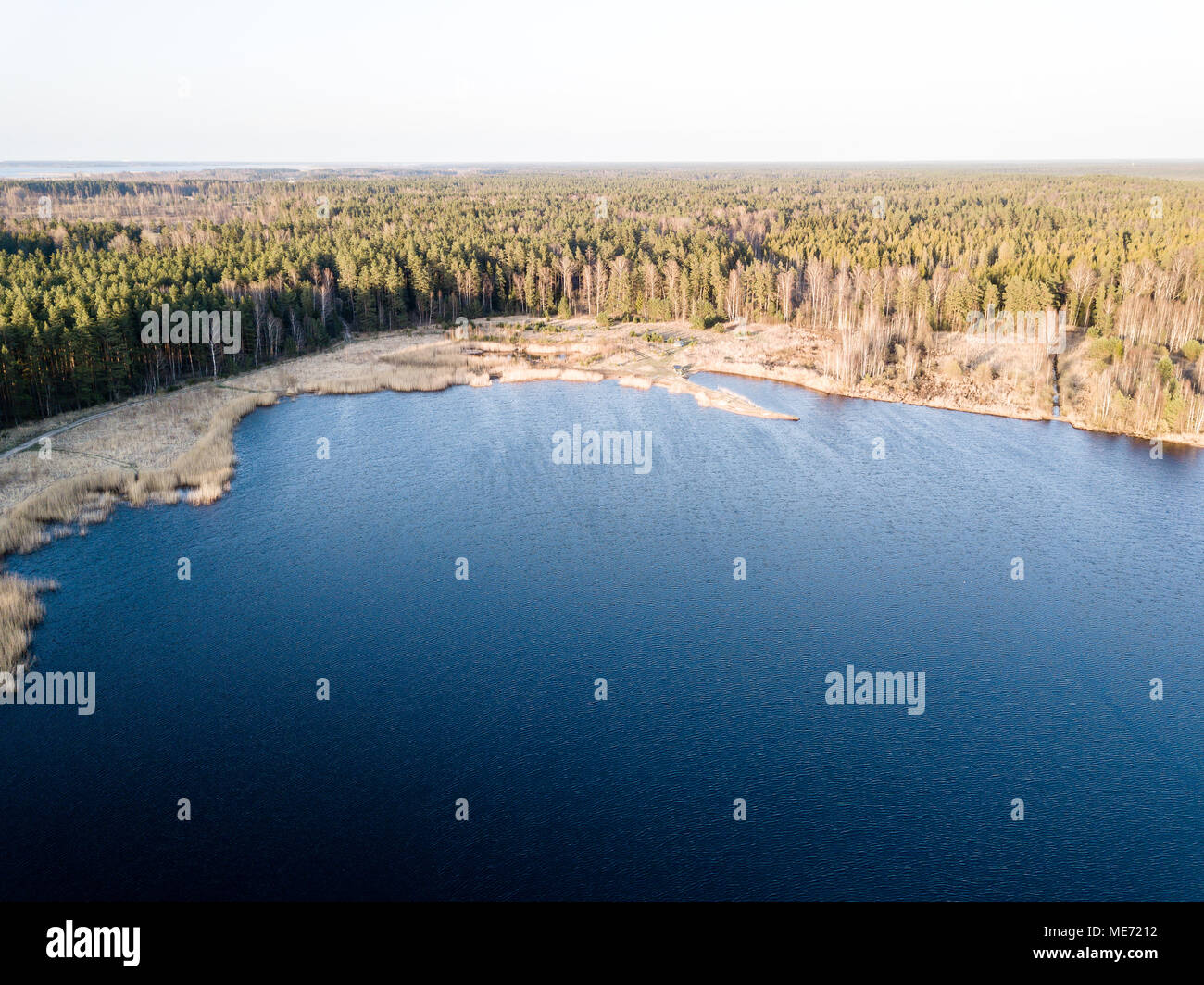 drone image. aerial view of rural area with swamps, lakes and forests ...