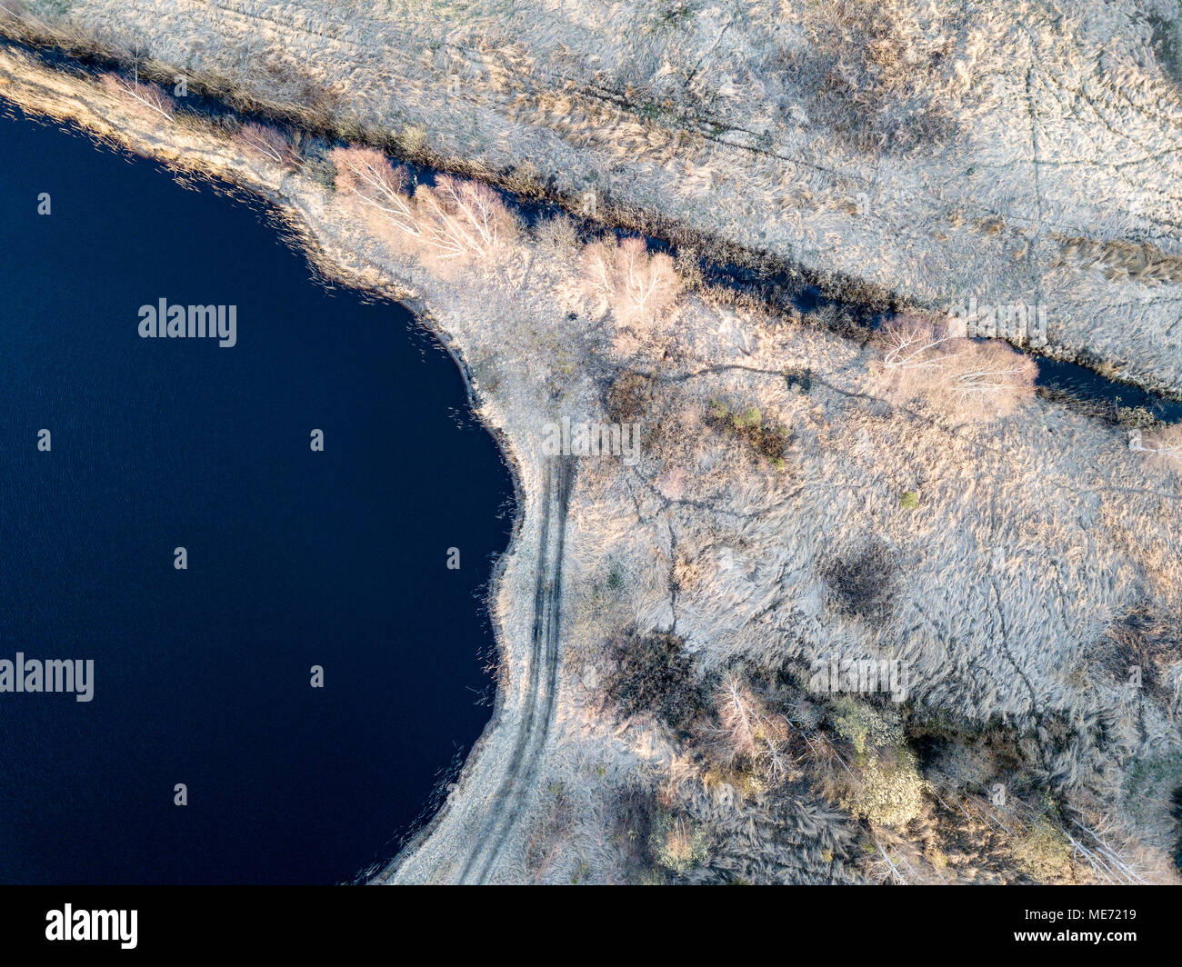 drone image. aerial view of rural area with swamps, lakes and forests ...