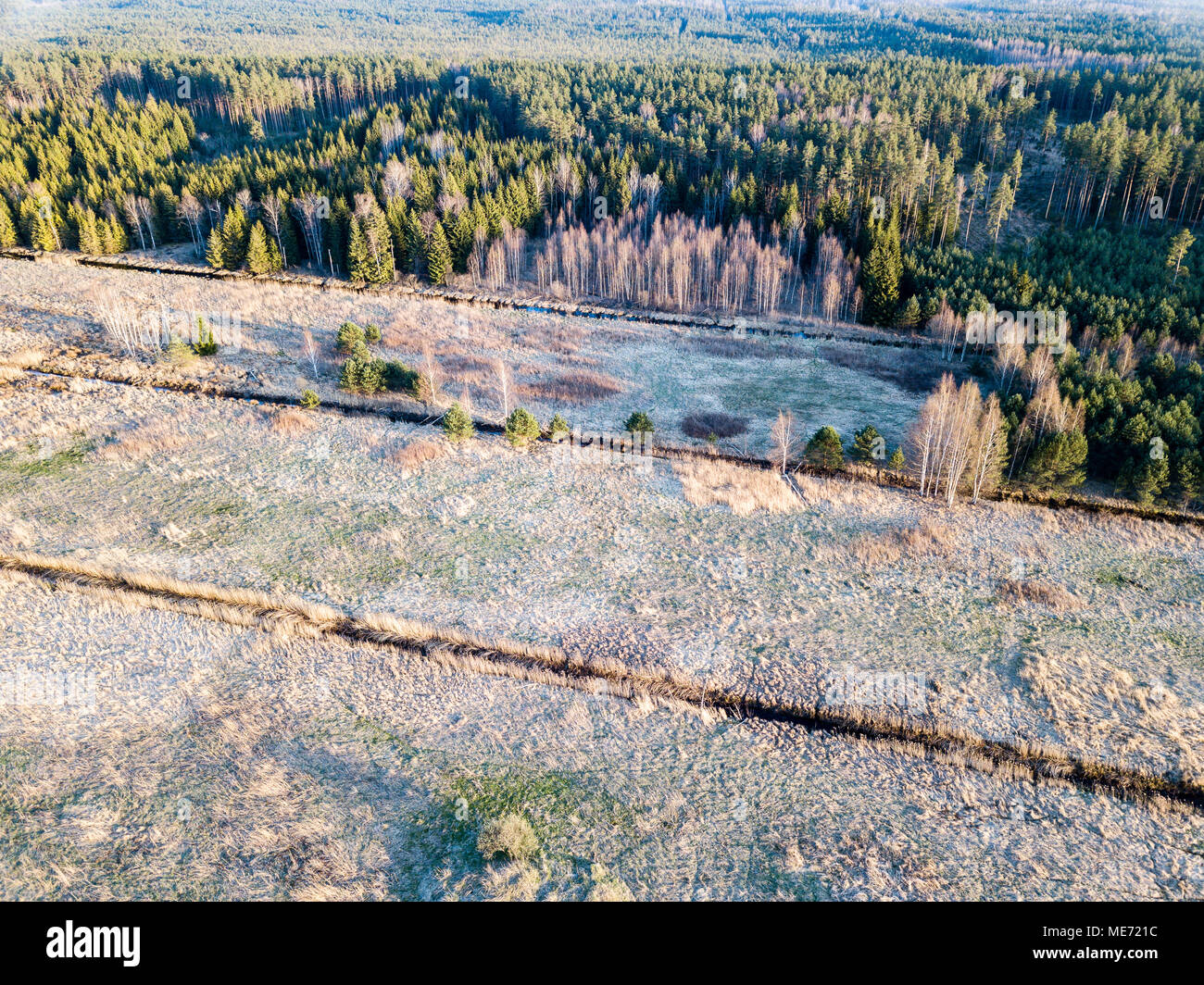 drone image. aerial view of rural area with swamps, lakes and forests ...