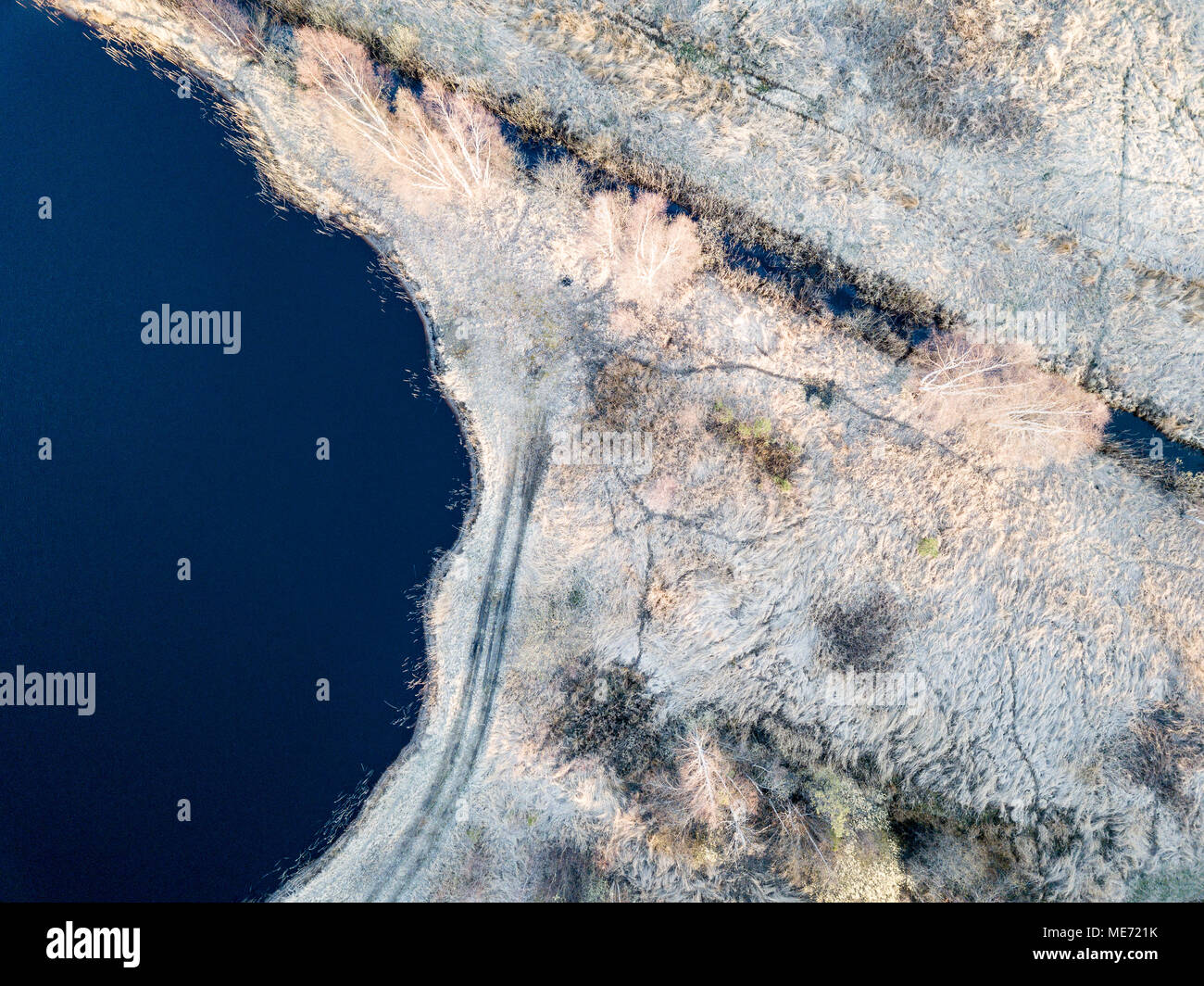 drone image. aerial view of rural area with swamps, lakes and forests ...