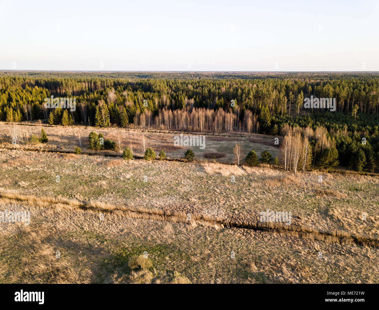 drone image. aerial view of rural area with swamps, lakes and forests ...