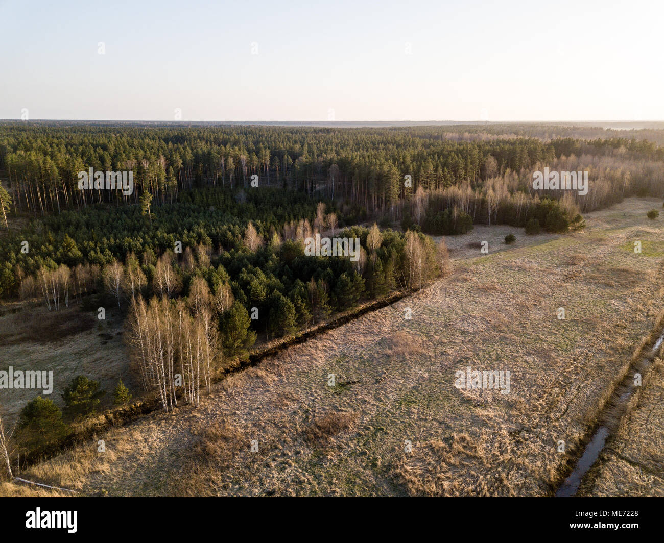drone image. aerial view of rural area with swamps, lakes and forests ...