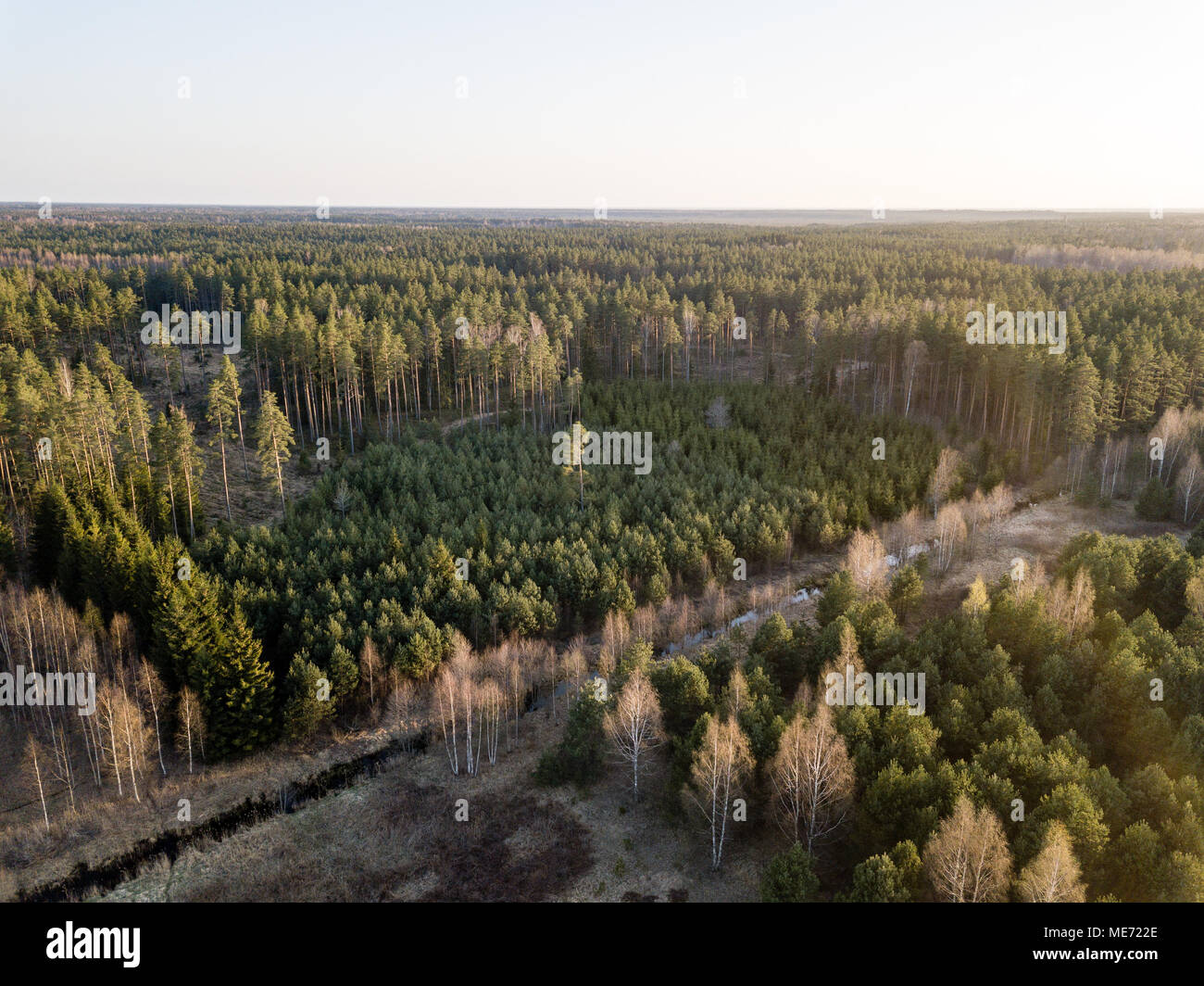 drone image. aerial view of rural area with swamps, lakes and forests ...