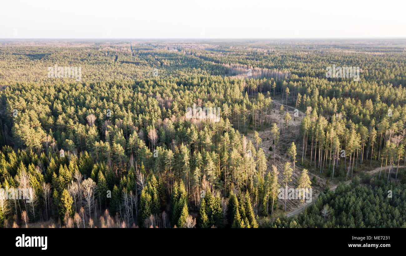 drone image. aerial view of rural area with swamps, lakes and forests ...