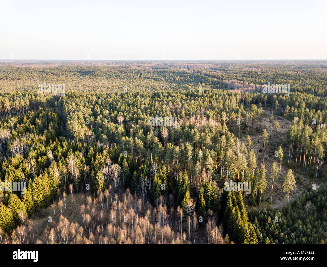 drone image. aerial view of rural area with swamps, lakes and forests ...