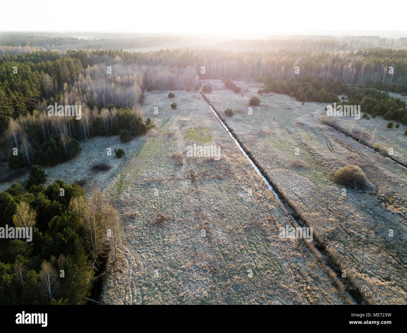drone image. aerial view of rural area with swamps, lakes and forests ...