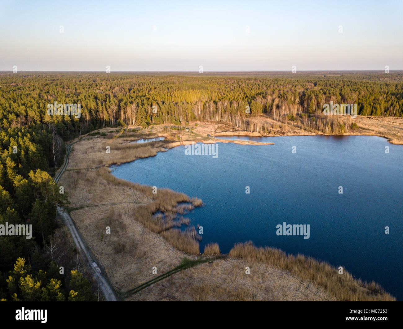 drone image. aerial view of rural area with swamps, lakes and forests ...