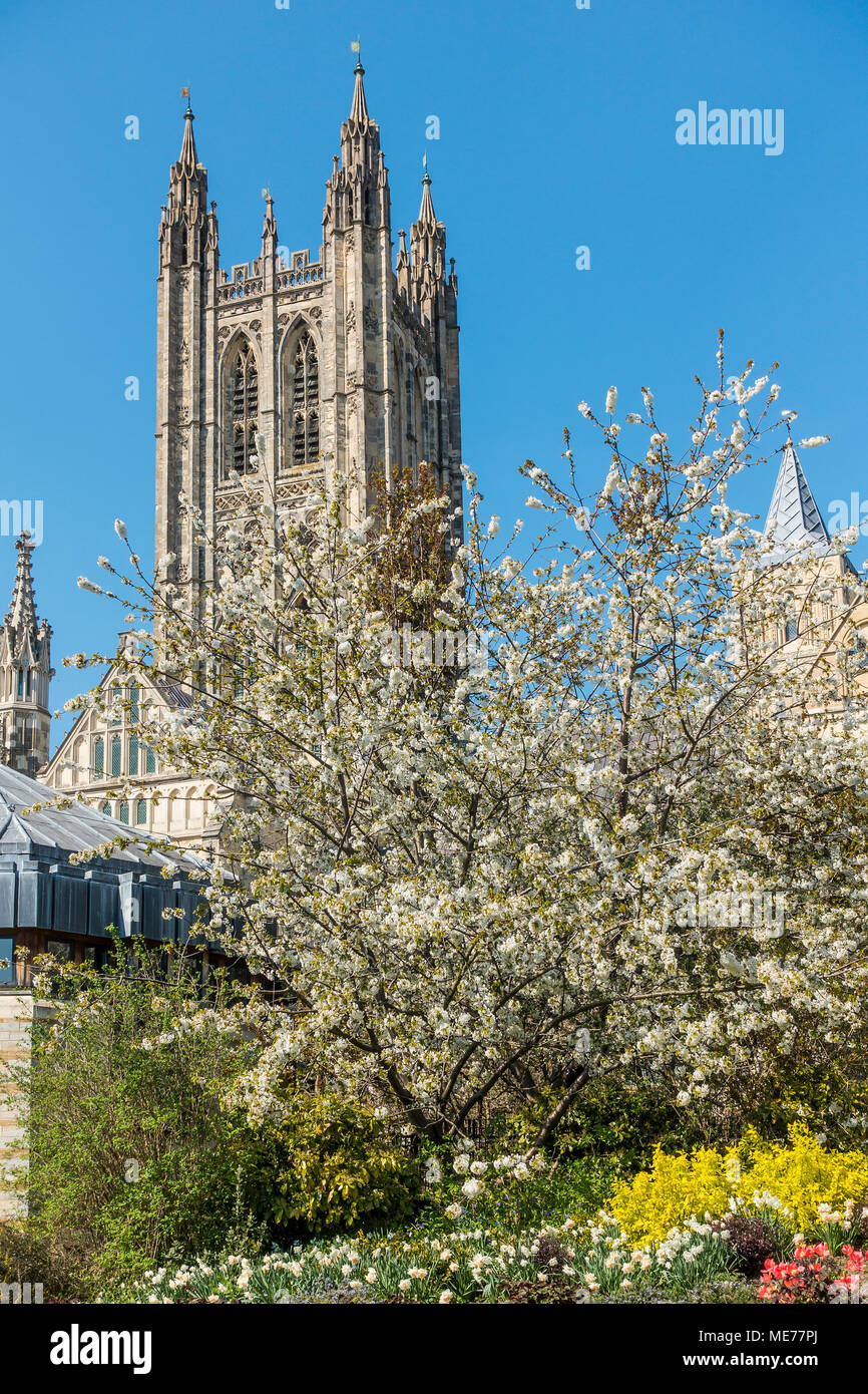 Canterbury cathedral bell harry tower hi-res stock photography and ...