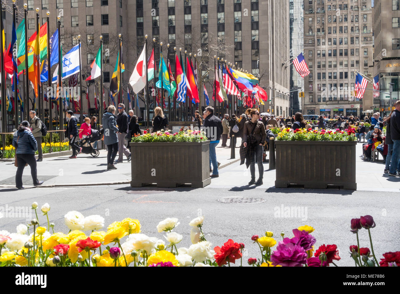 American Flags and Spring Flowers with International Flags at ...