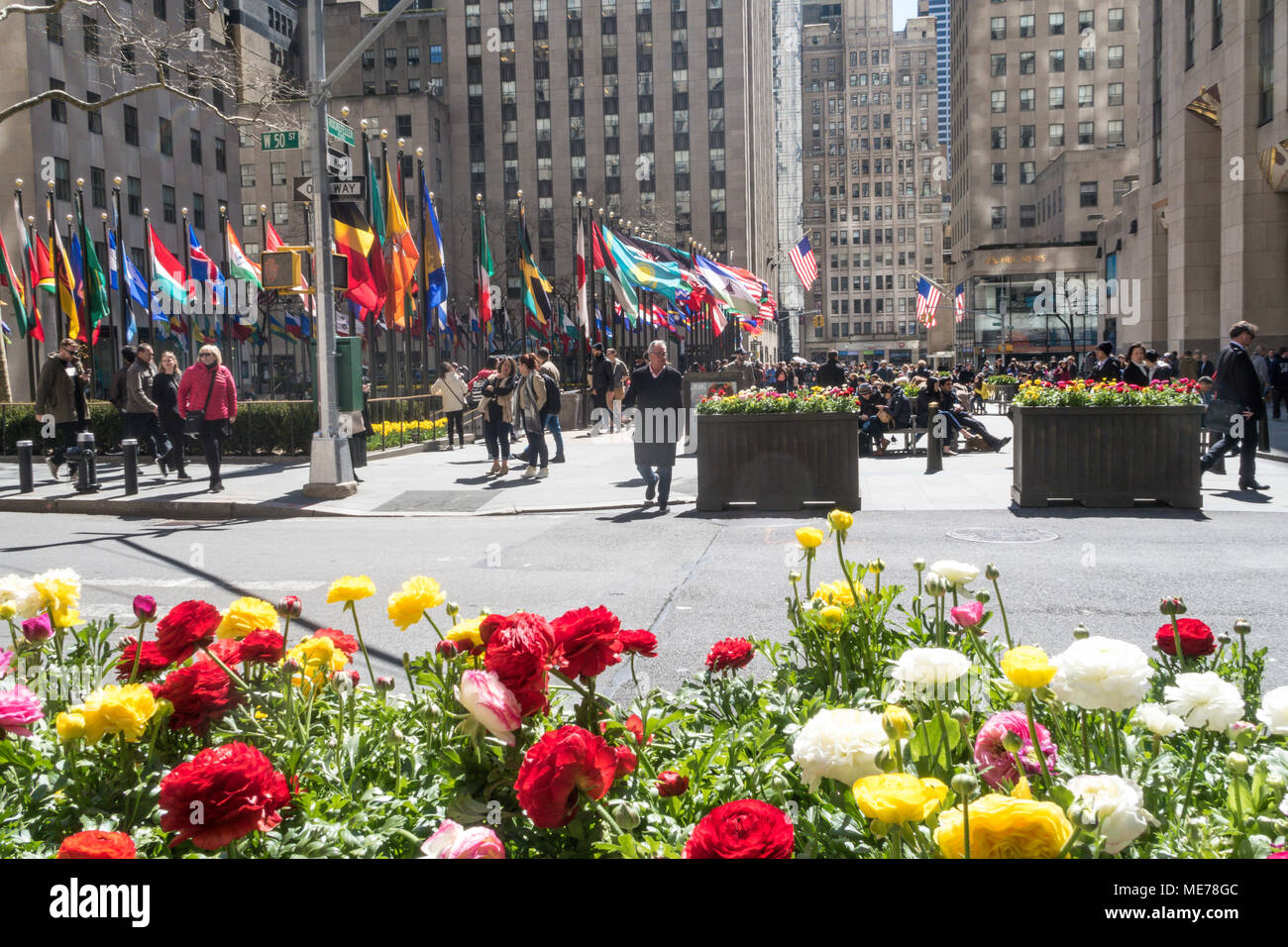 American Flags and Spring Flowers with International Flags at ...