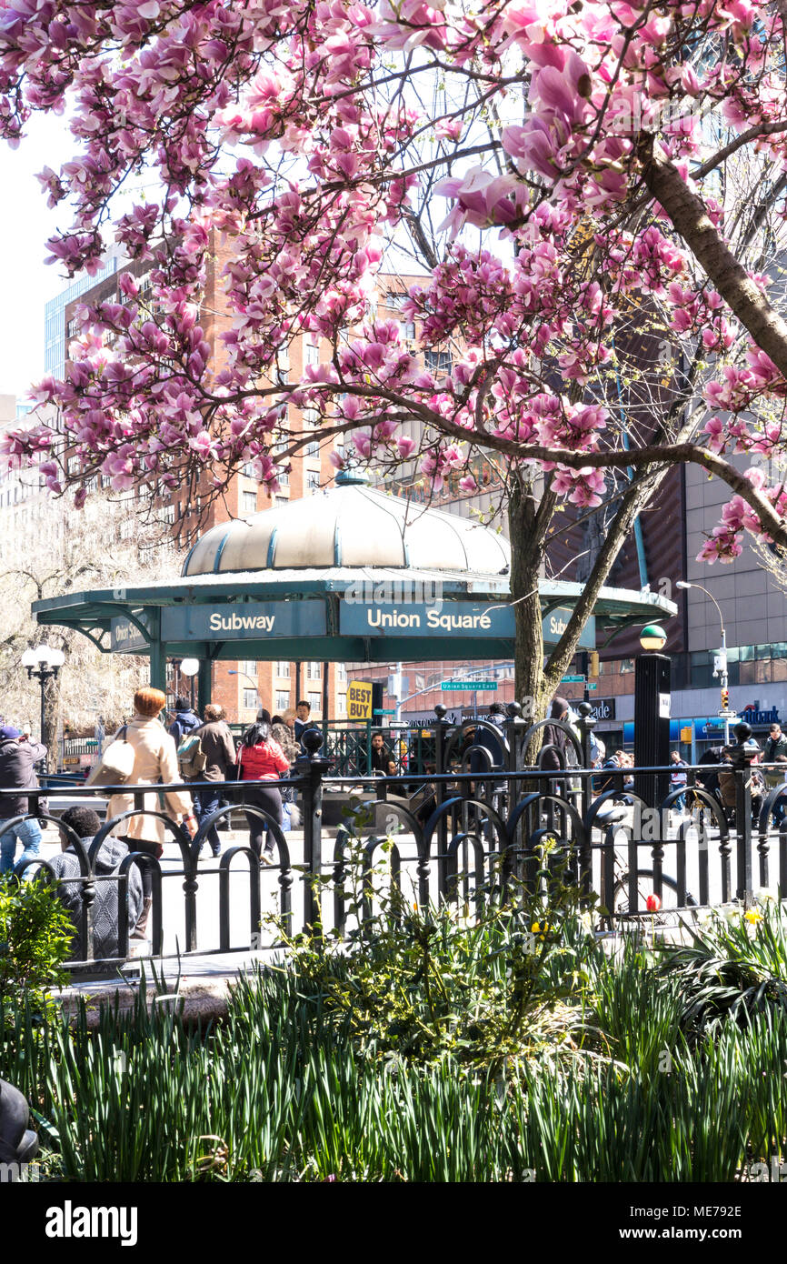 Springtime in Union Square Park, NYC, USA Stock Photo - Alamy