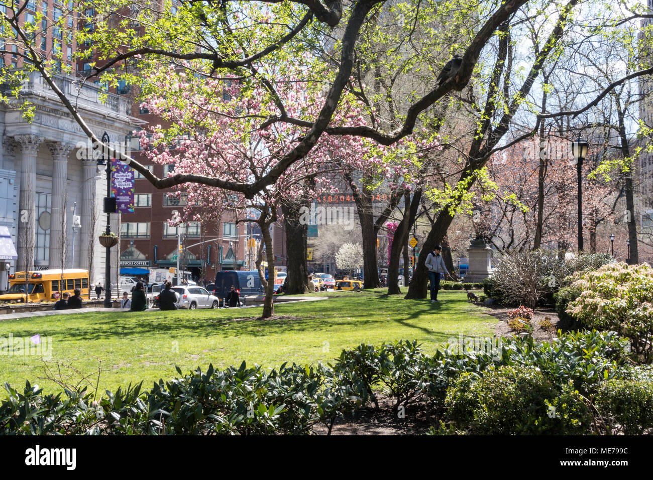 Spring in oasis hi-res stock photography and images - Alamy