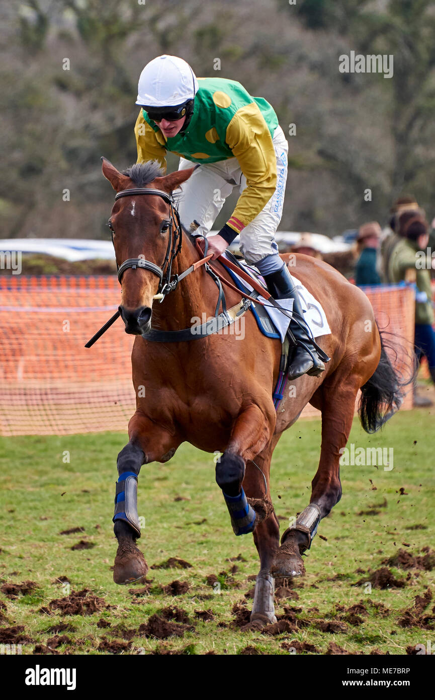 Full Gallop Stock Photos & Full Gallop Stock Images - Alamy