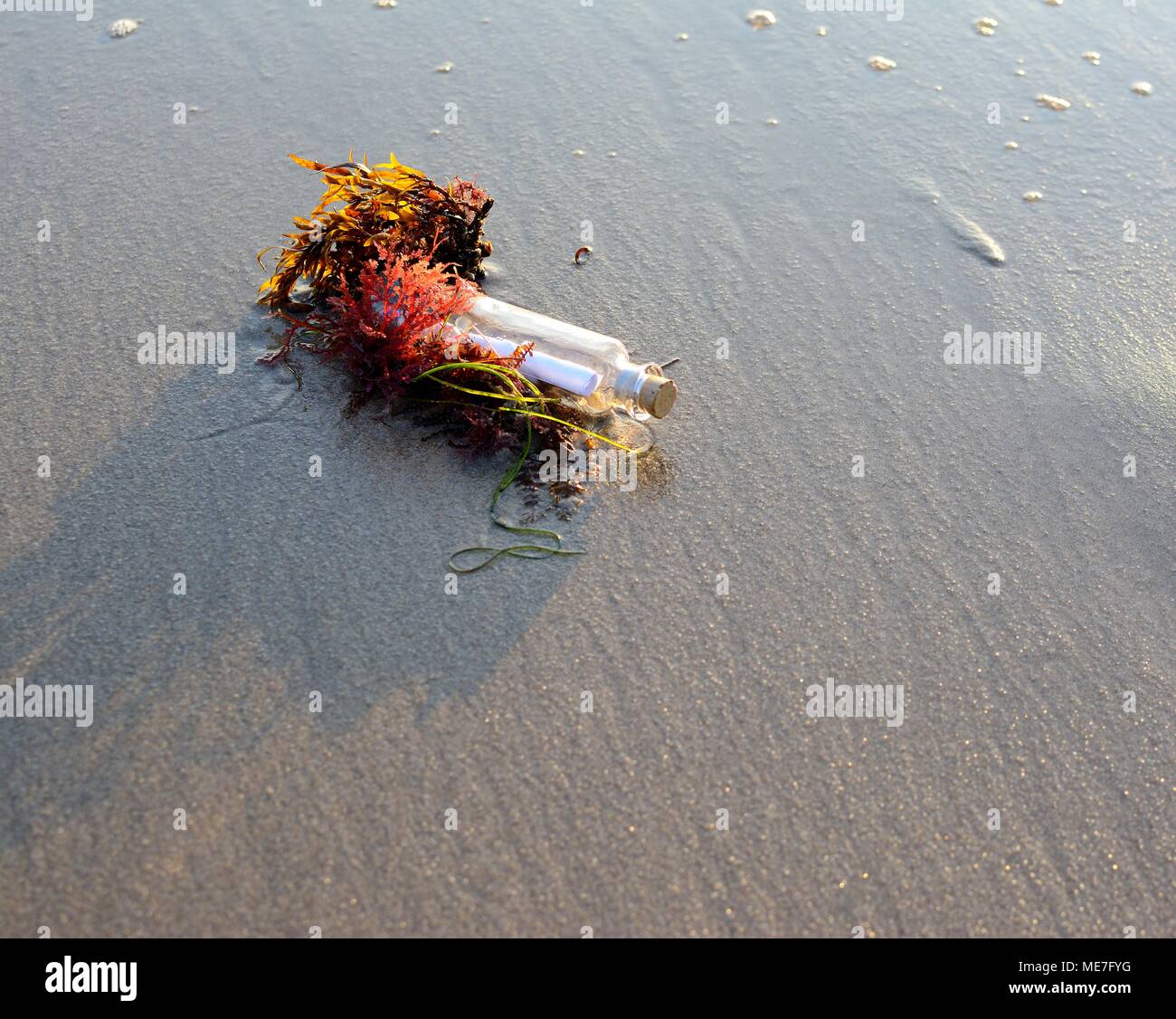 Message in a Bottle Washed Up on the Shore Stock Photo - Alamy