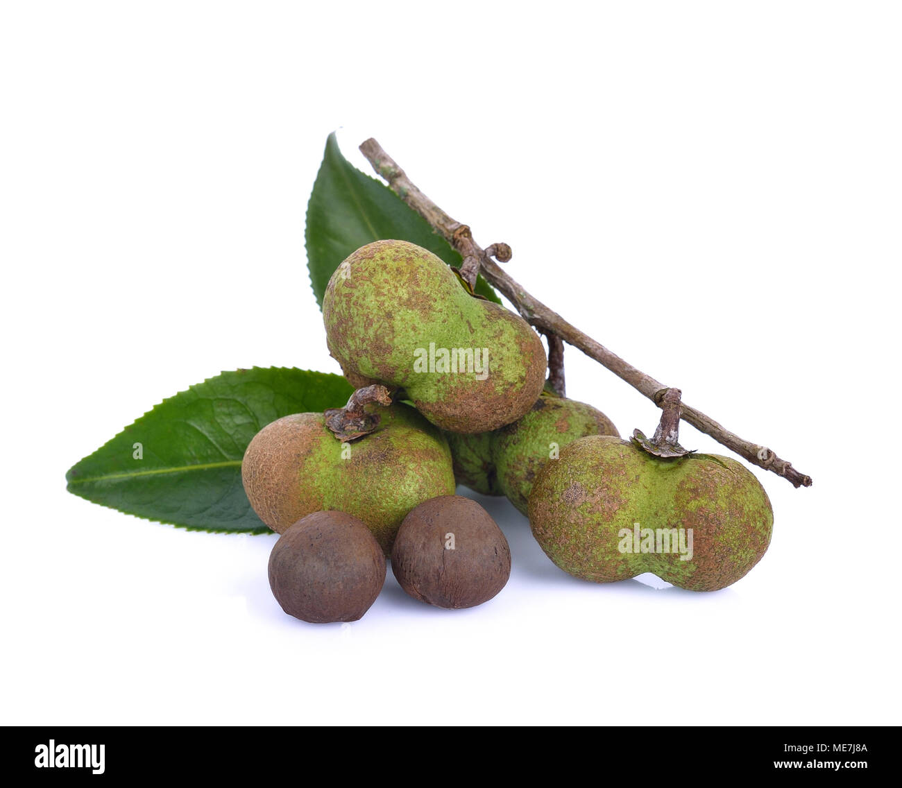 tea seed on white background Stock Photo - Alamy