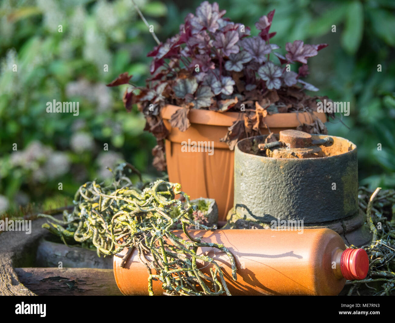 spring time in a german garden Stock Photo - Alamy