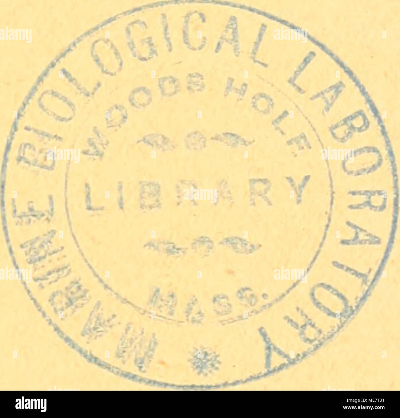 . Die Mneme als erhaltendes Prinzip im Wechsel des organischen ...