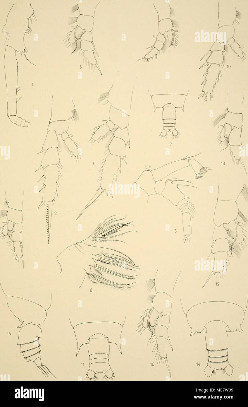 Lces hi-res stock photography and images - Alamy