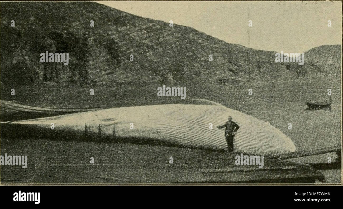 Rem aufnahme hi-res stock photography and images - Alamy