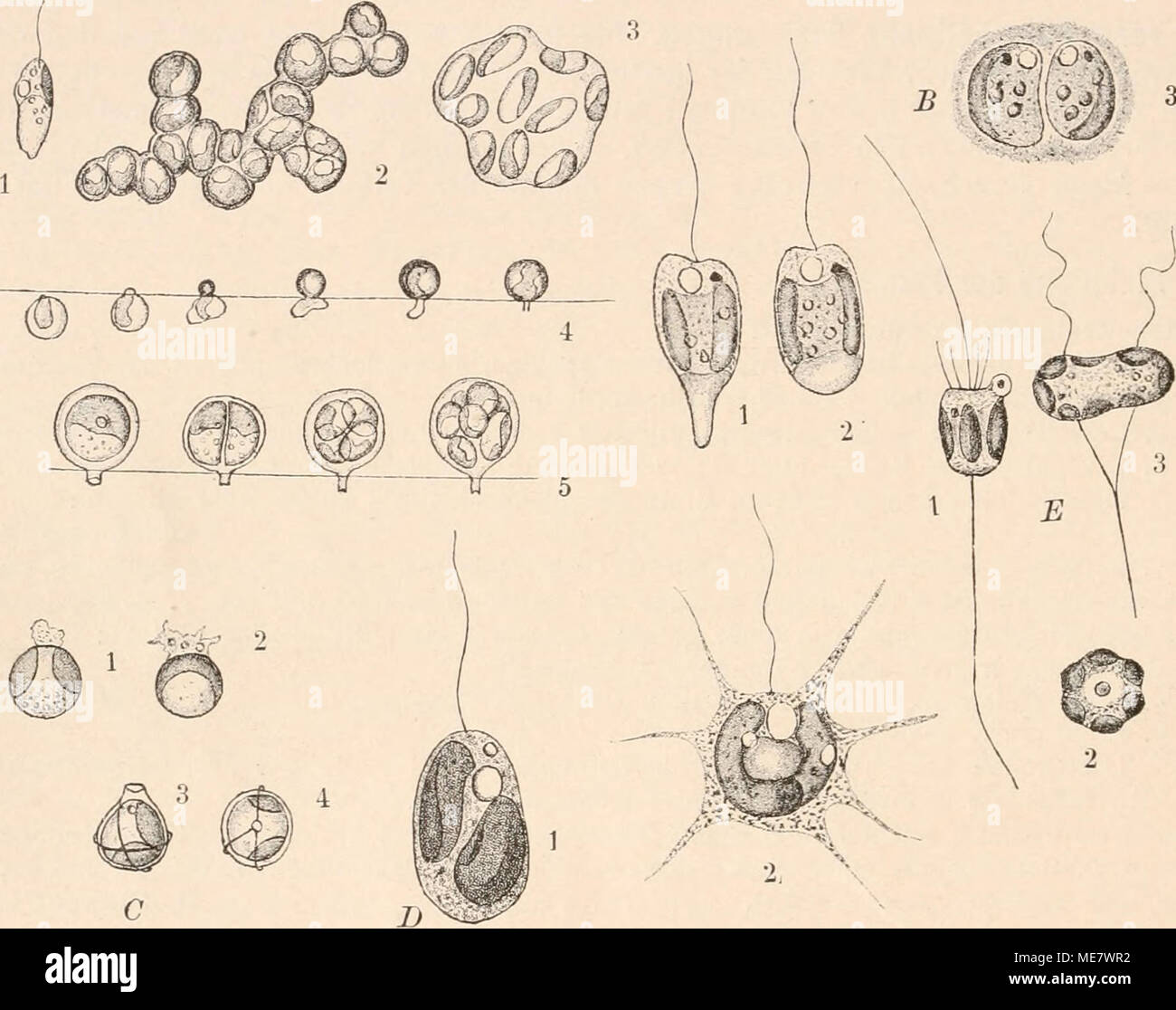 Emporsteigen hi-res stock photography and images - Alamy