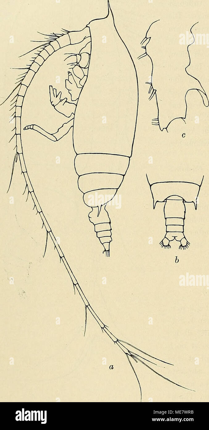 Erstes und letztes hi-res stock photography and images - Alamy