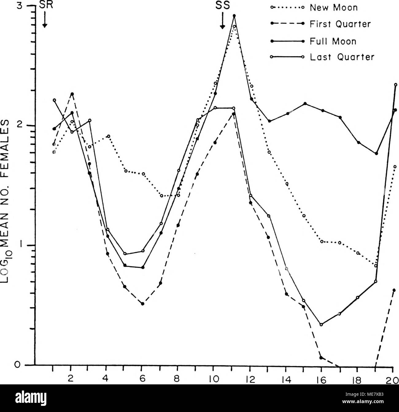 Mointed hi-res stock photography and images - Alamy