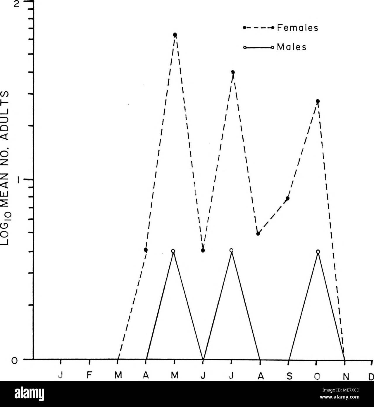 Culicoides hi-res stock photography and images - Alamy