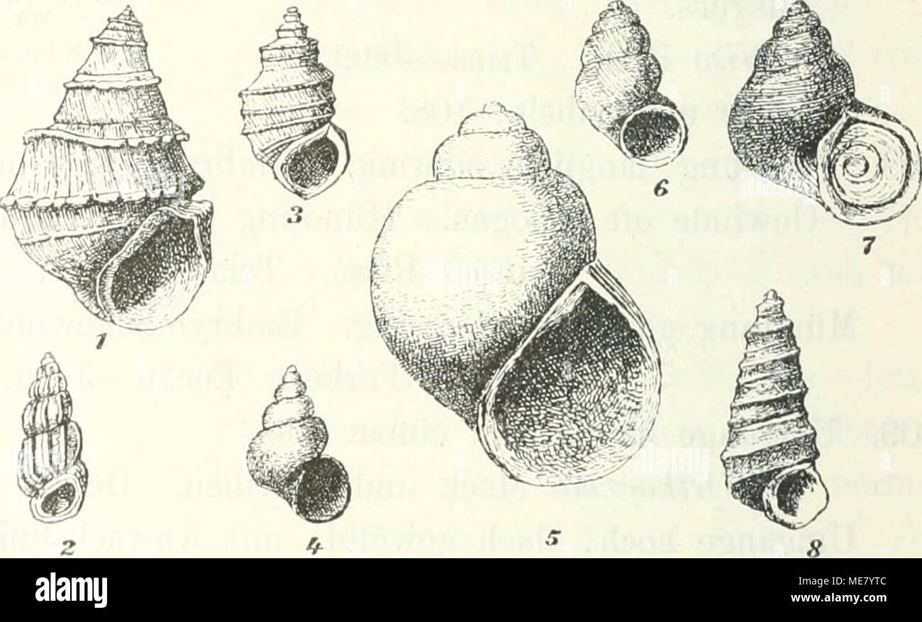 Nauche hi-res stock photography and images - Alamy