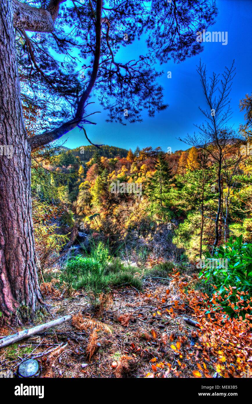 Loch Ness, Scotland. Artistic autumnal view of Camus Forest area above ...