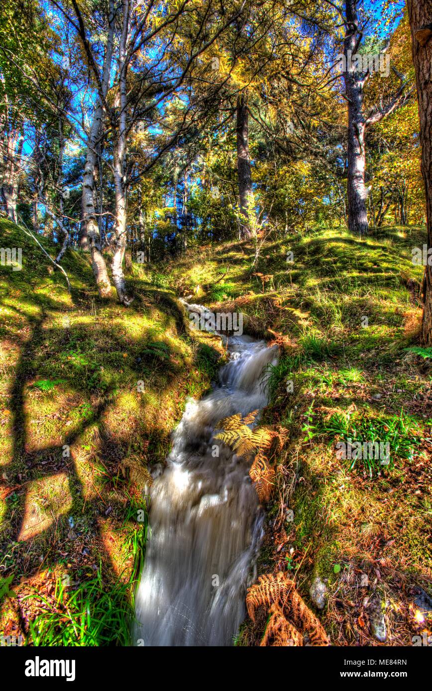 Loch Ness, Scotland. Artistic autumnal view of a flowing stream in a ...