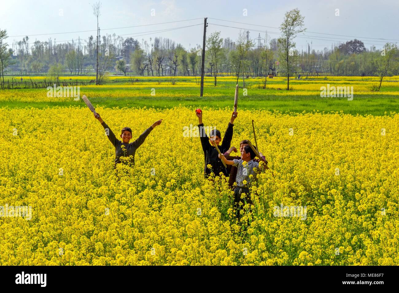 Children play in paddy field hi-res stock photography and images - Alamy