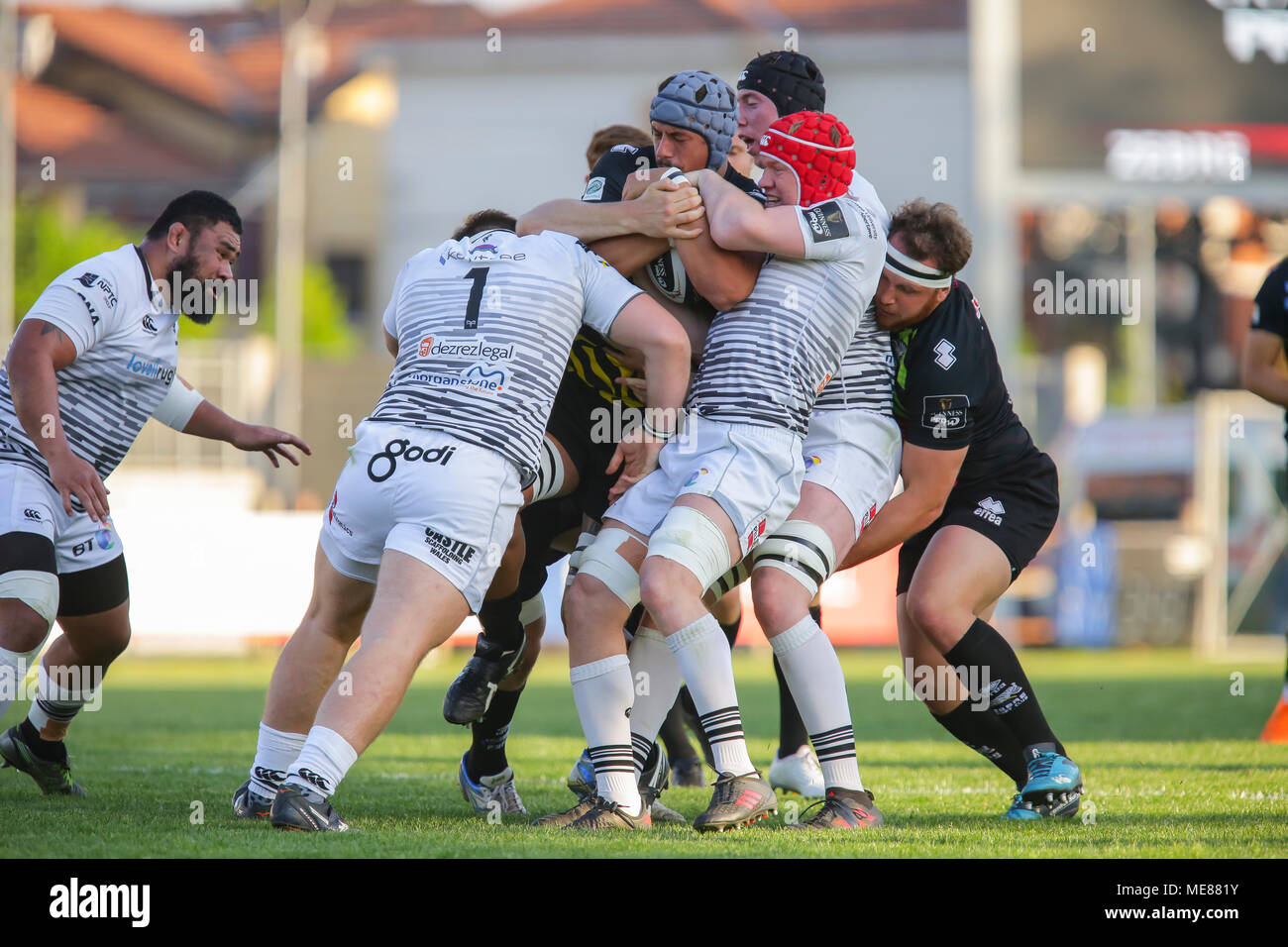 Osprey rugby hi-res stock photography and images - Alamy