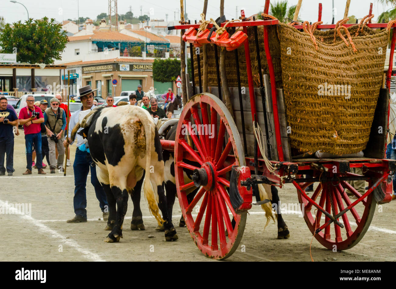 Buffalo pulling cart hi-res stock photography and images - Alamy