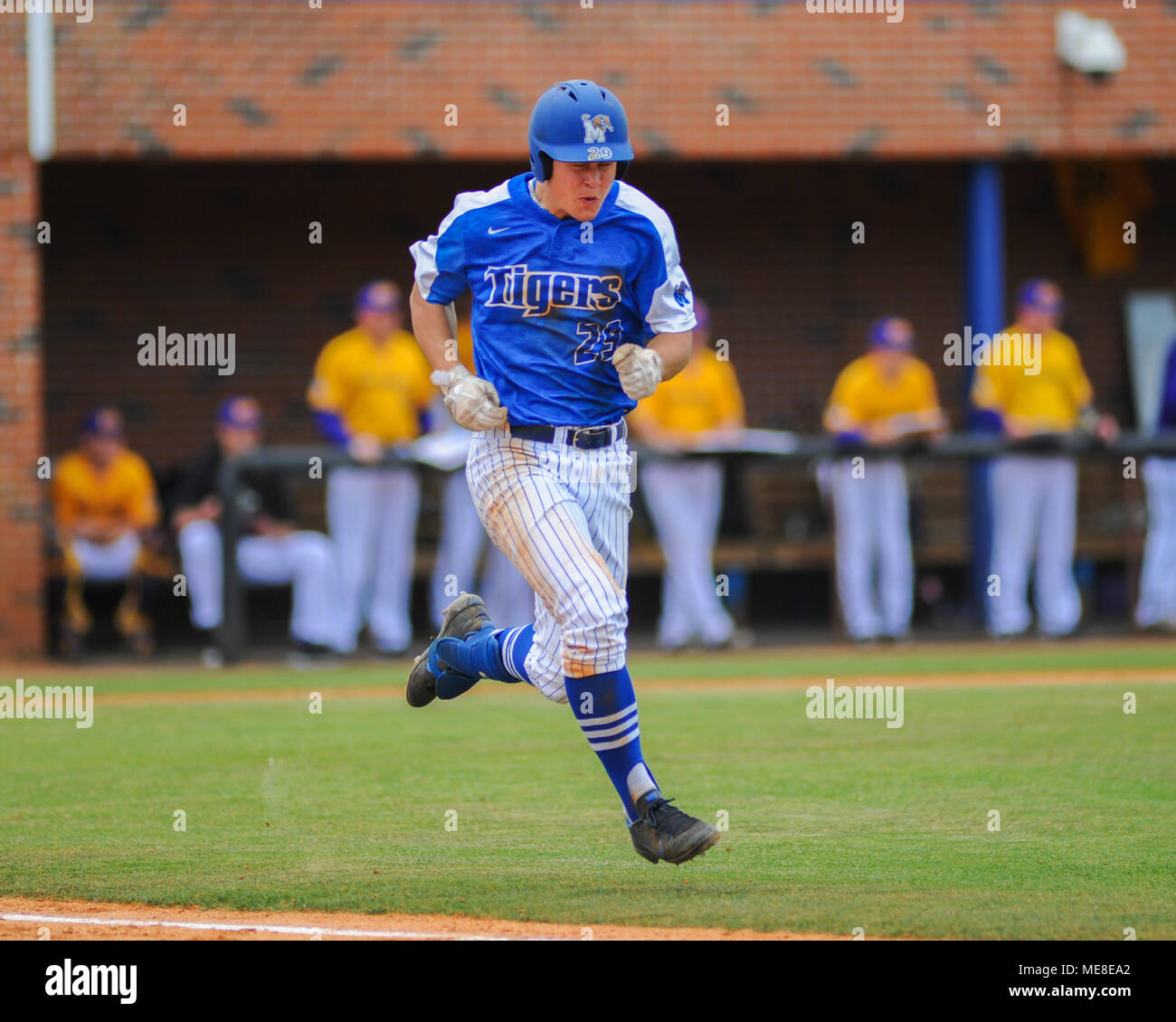 Alec trela hi-res stock photography and images - Alamy