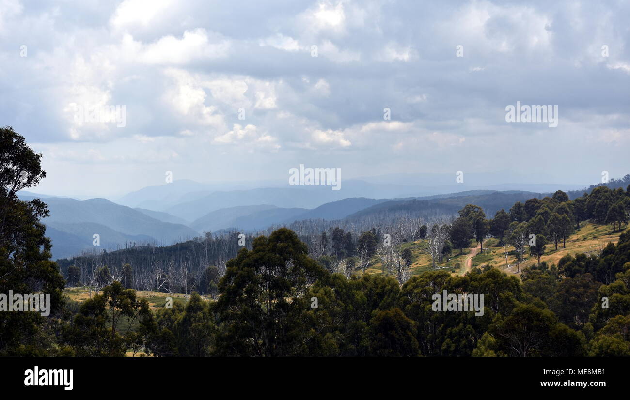 Broad panorama of the countryside in Snowy Mountains. View from ...