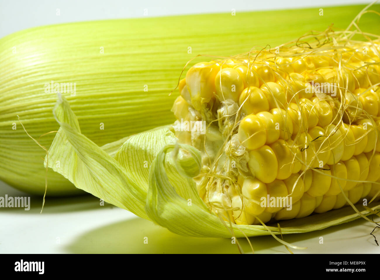 Corn cut into a piece with leaves surrond on white background Stock ...