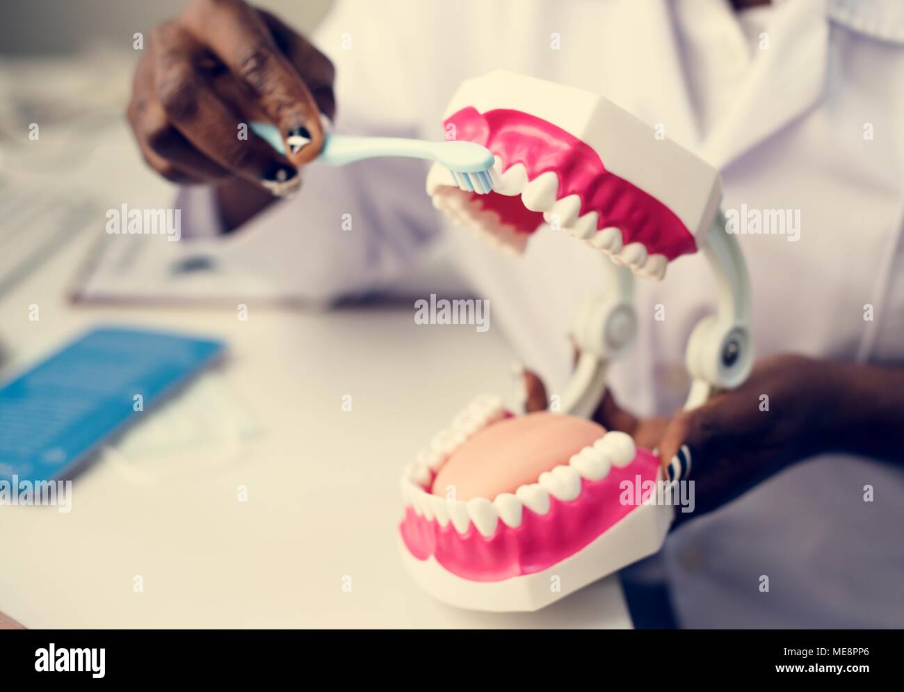 Dental jaw model at dentist clinic Stock Photo - Alamy