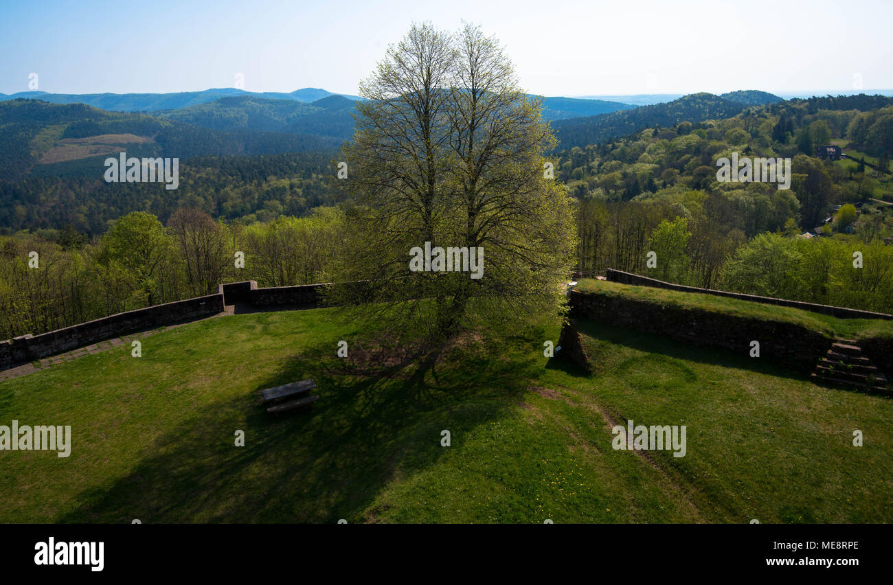 Chateau de lichtenberg castle hi-res stock photography and images - Alamy