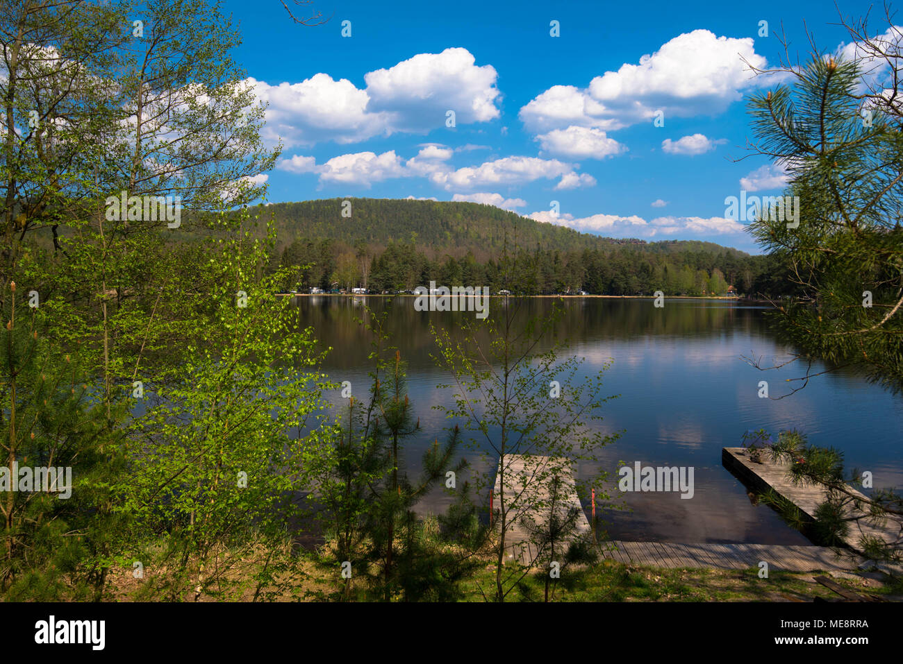 Lake (Etang de Hanau) in the Vosges mountains in France Stock Photo - Alamy