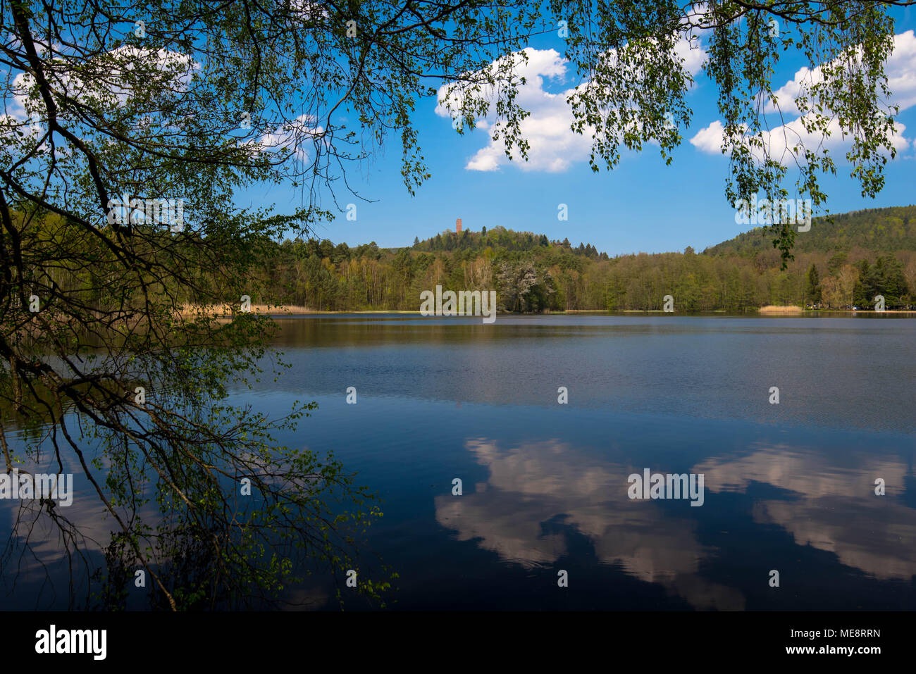 Lake (Etang de Hanau) in the Vosges mountains in France Stock Photo - Alamy